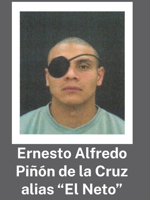 Tras enfrentamiento fallece “El Neto” líder de los “Mexicles” en ...